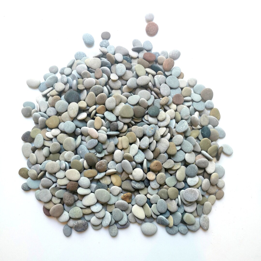 700 Gray Flat Pebbles up to 2.3 Cm, Natural Sea Pebbles, Pebble Art ...
