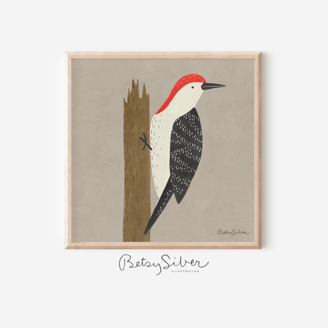 Woodpecker Art Print Kid Room Decor Nursery Wall Art - Etsy