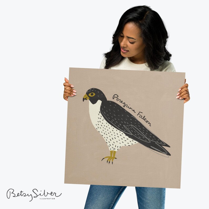 Peregrine Falcon Wall Art | Bird of Prey Illustration | Falcon Art ...