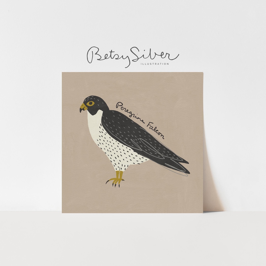 Peregrine Falcon Wall Art | Bird of Prey Illustration | Falcon Art ...