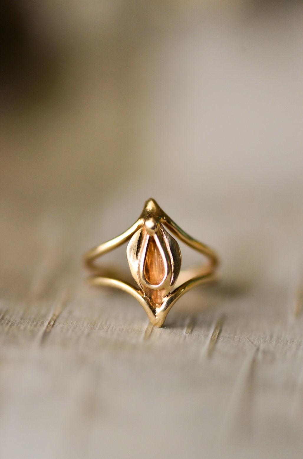 TEMPLE YONI VULVA Ring - Feminist Vagina Jewellery Made by Kieve Pauzé ...