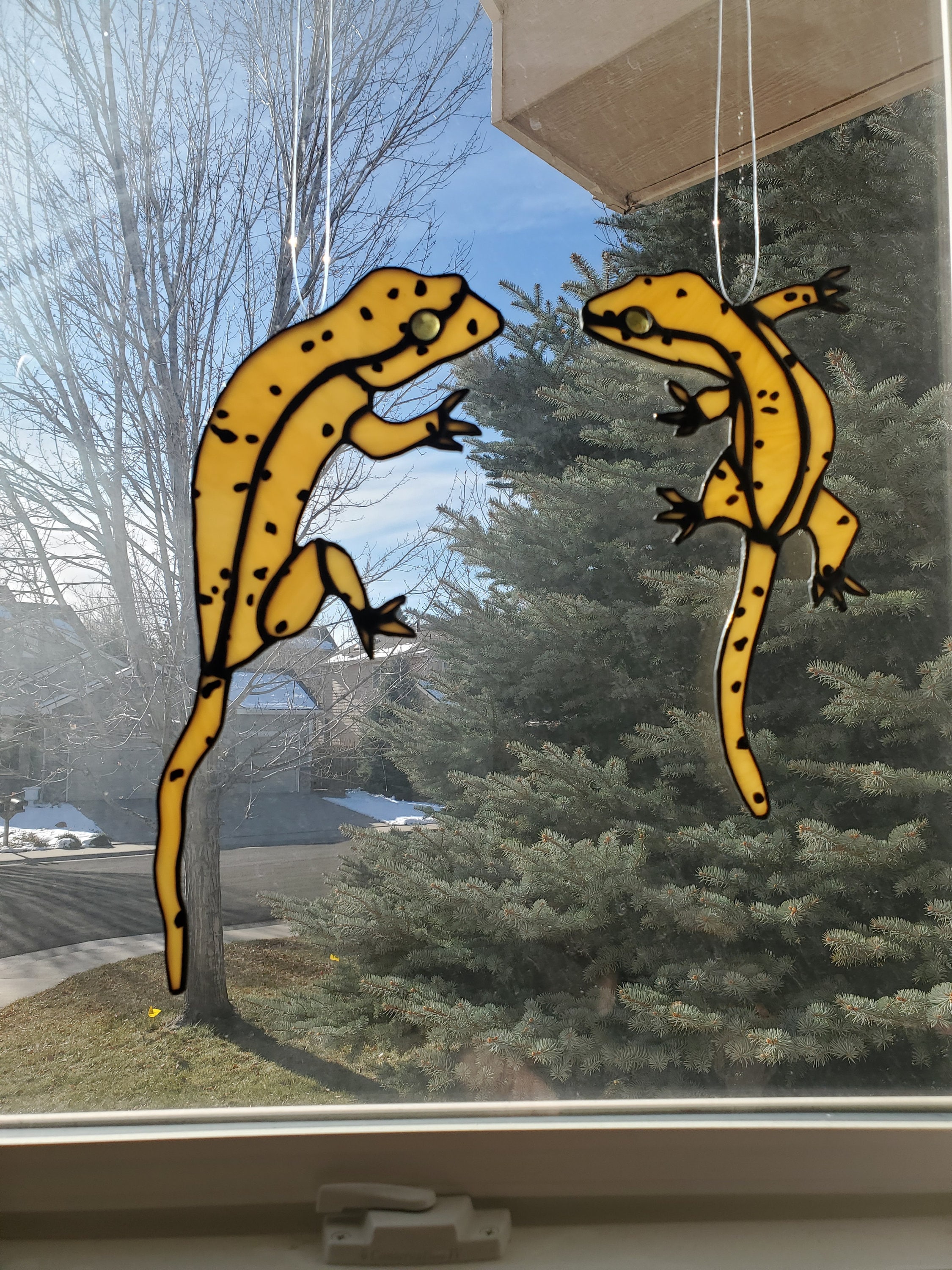 Dalmation Crested Gecko Stained Glass - Etsy