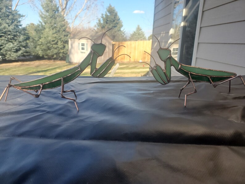 Praying Mantis Stained Glass Freestanding - Etsy
