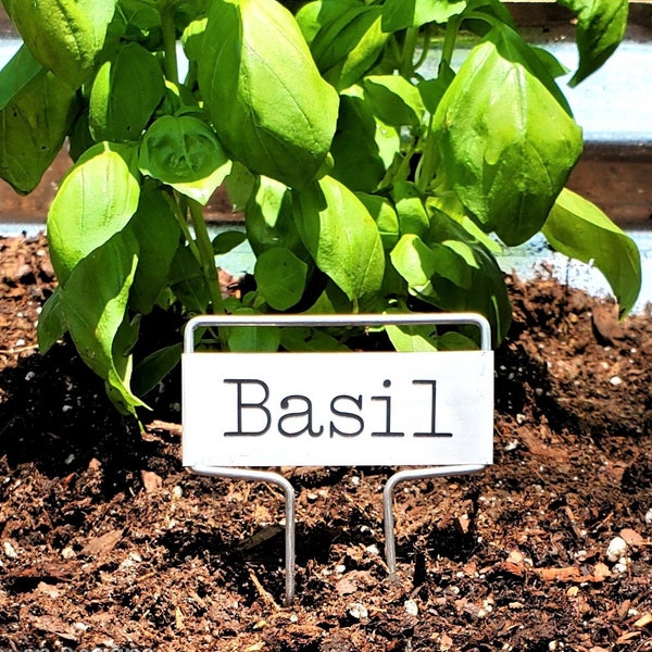 Plant Labels - Etsy