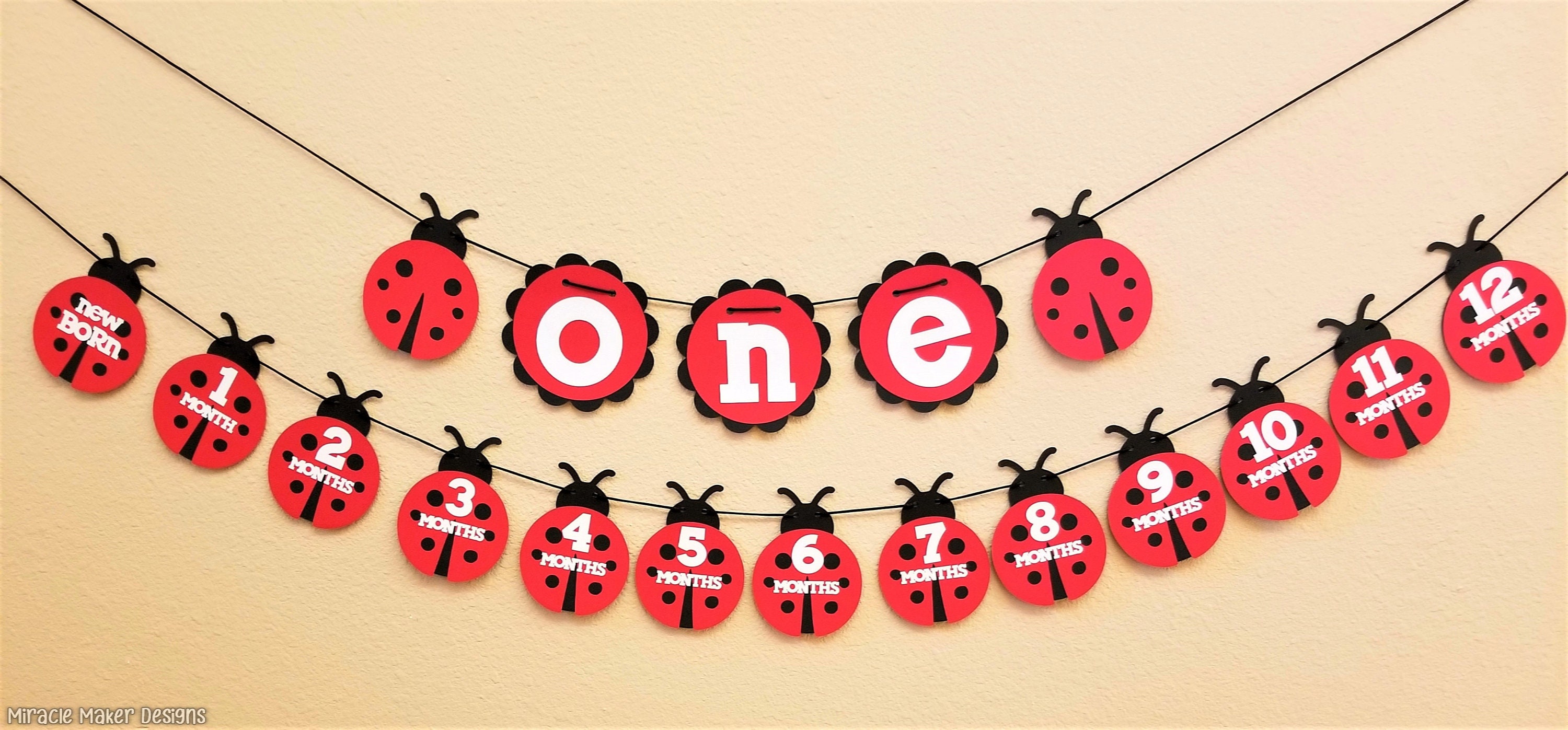 Ladybug First Year Photo Banner Ladybug 1st Birthday Party | Etsy