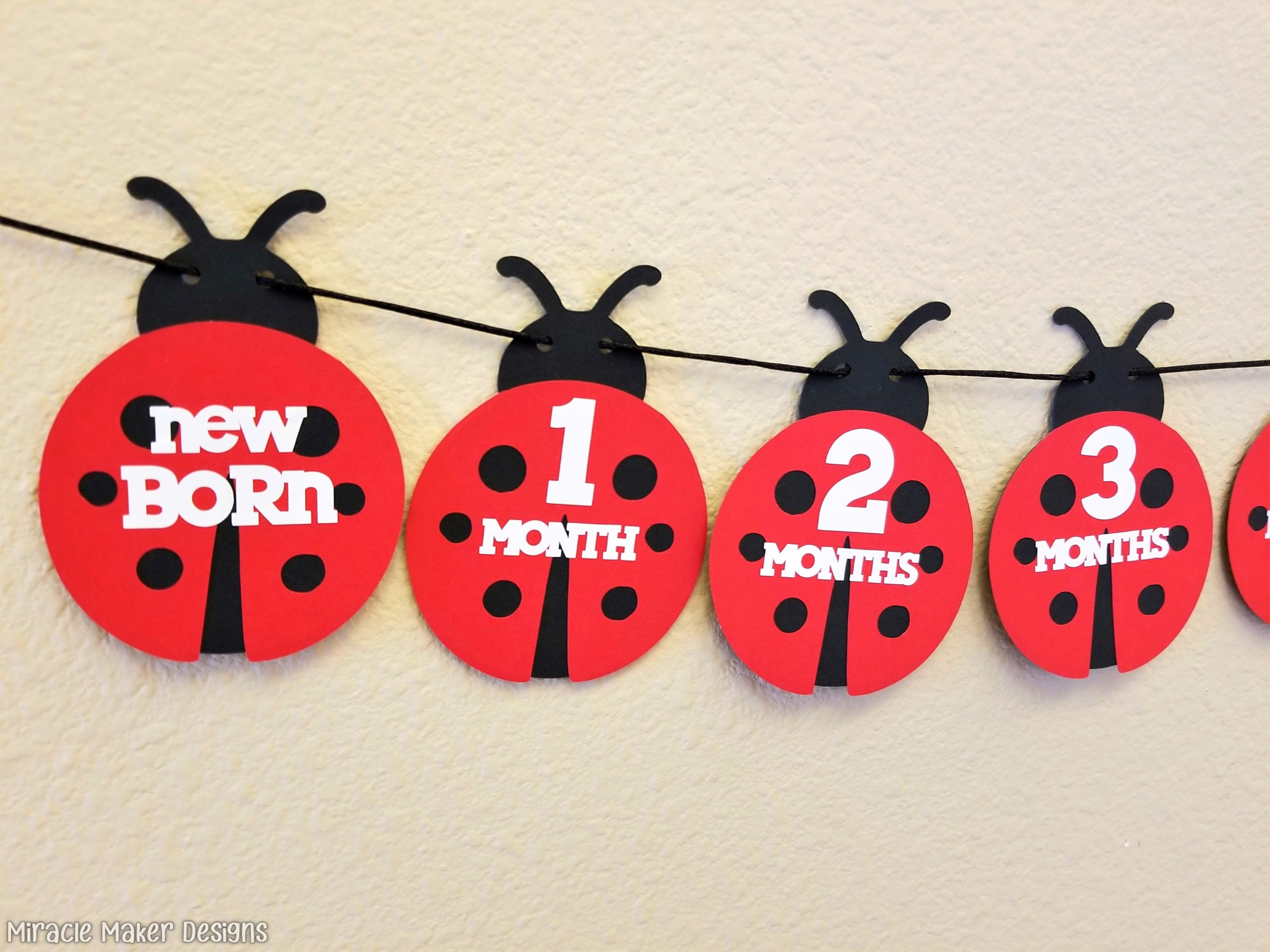 Ladybug First Year Photo Banner Ladybug 1st Birthday Party | Etsy