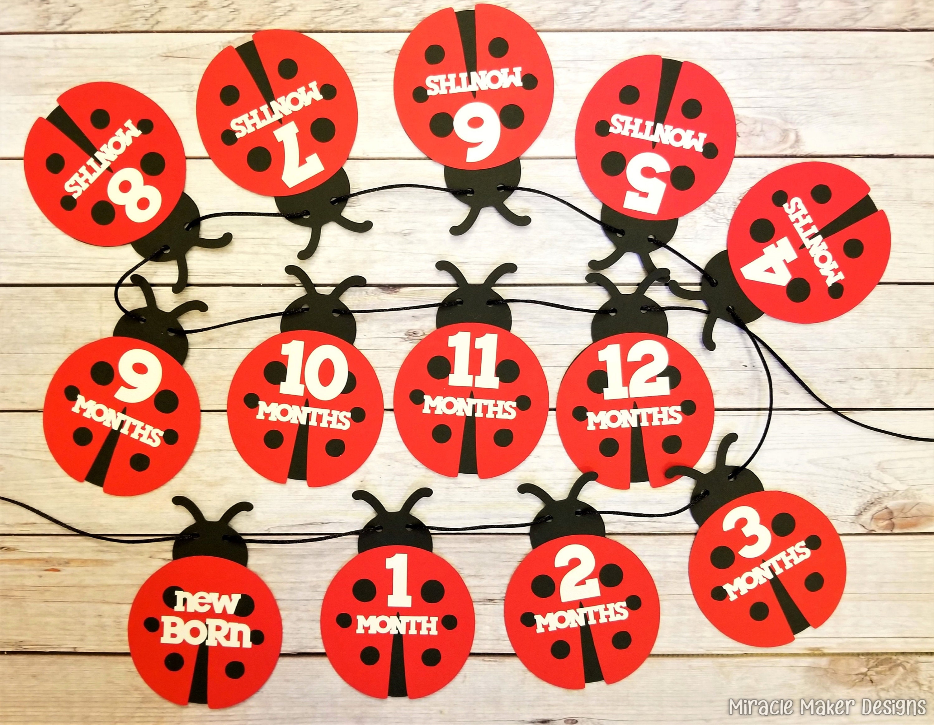 Ladybug First Year Photo Banner, Ladybug 1st Birthday Party, 12 Month ...
