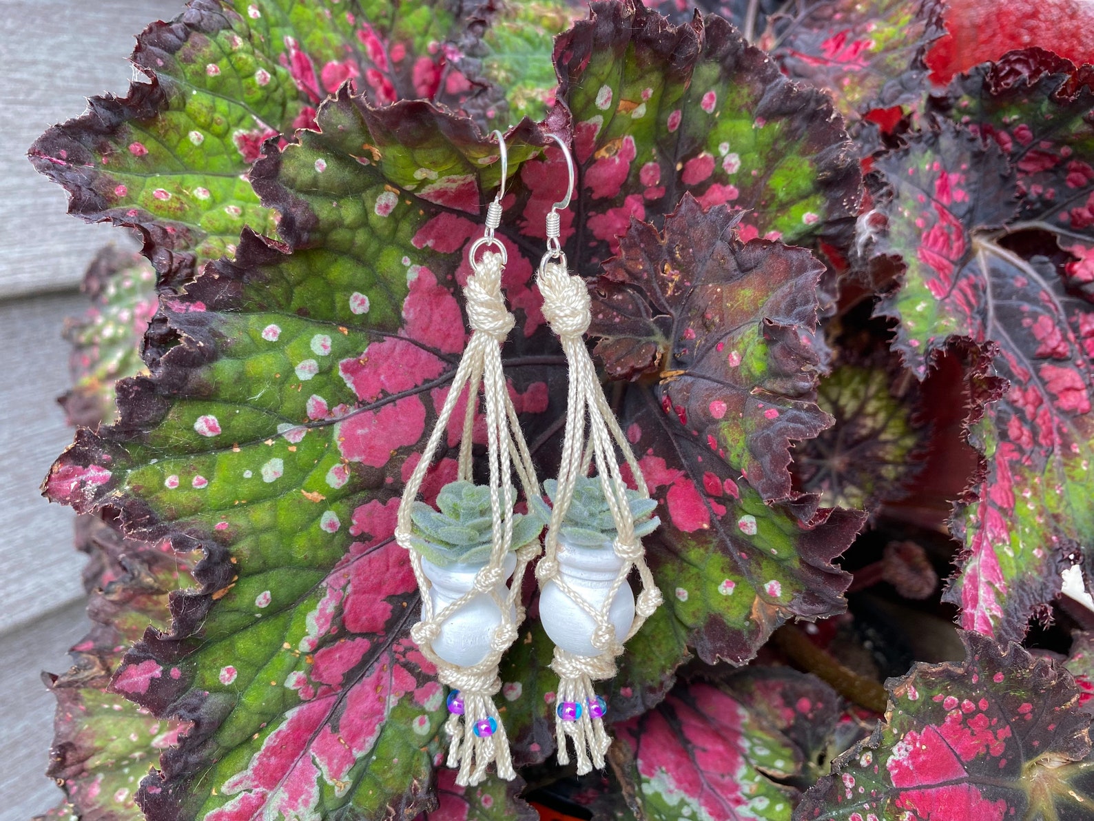 Hanging Plant Earrings - Etsy