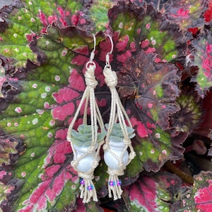 Hanging Plant Earrings - Etsy