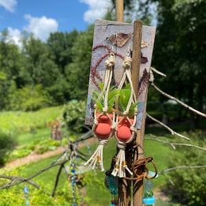 Hanging Plant Earrings - Etsy