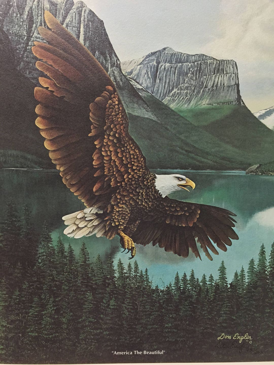 America Print of Bald Eagle in Flight - Etsy
