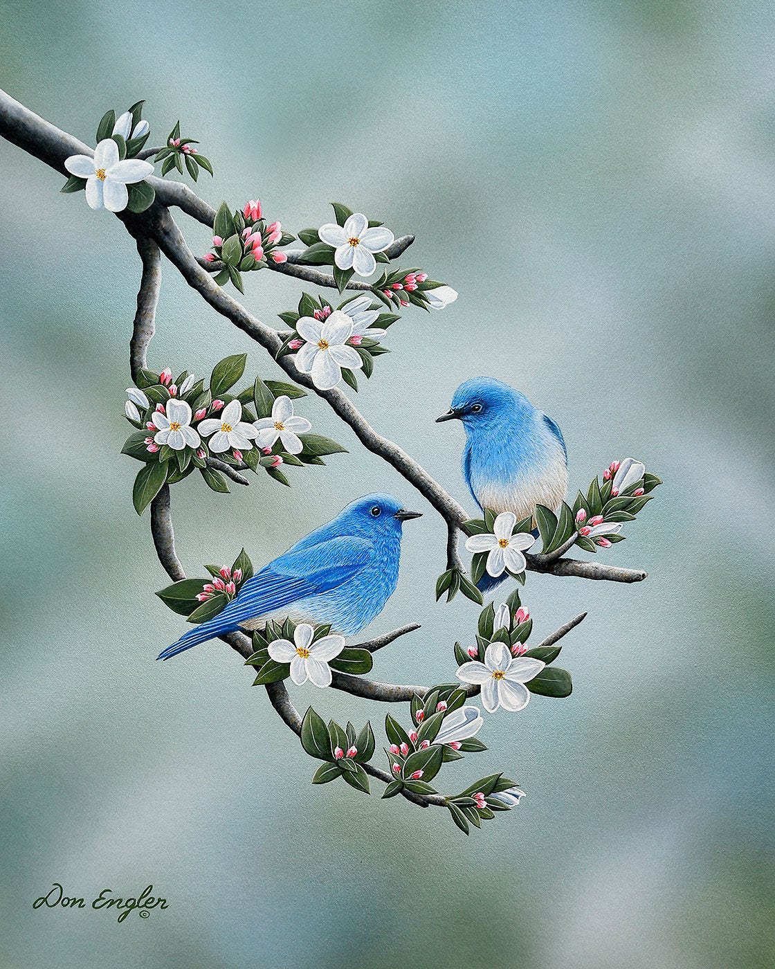 Signs of Spring Print, Bluebirds in an Apple Tree - Etsy