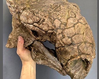 microceratus skeleton