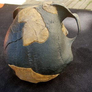 LUCY SKULL Australopithecus Afarensis: Complete Skull With ...