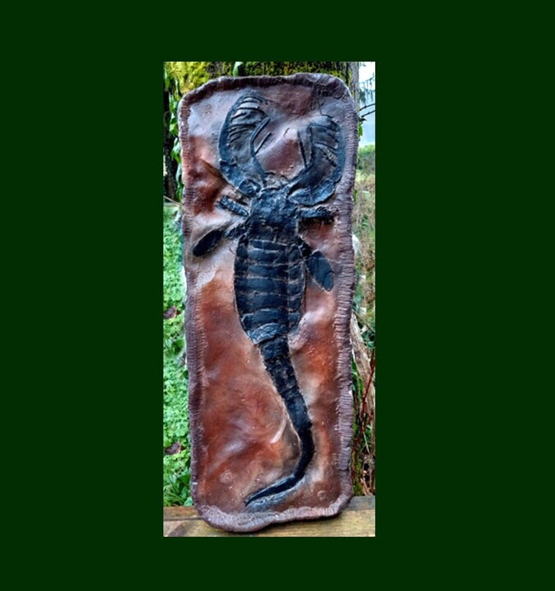 Sea SCORPION MIXOPTERUS Kiaeri PMFP10 Specimen From Norway. Lower ...