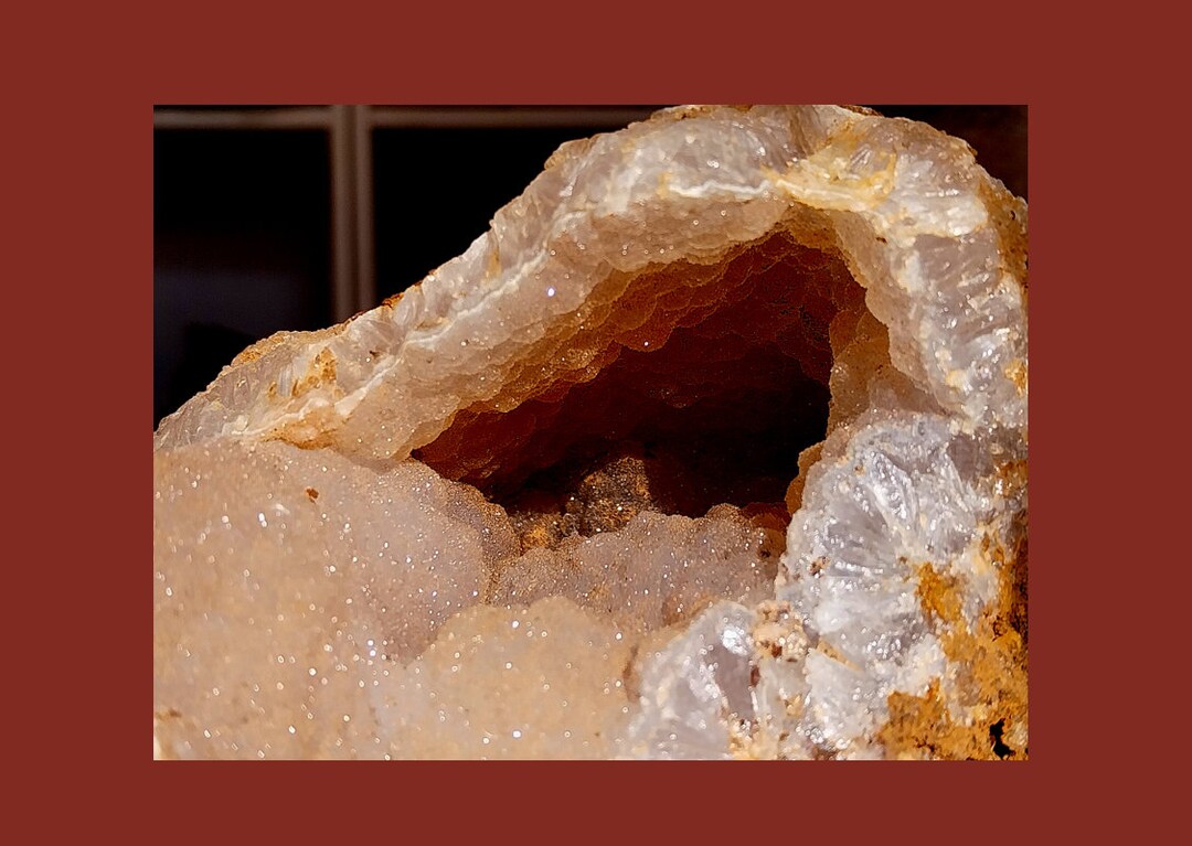 CORAL-FOSSIL Geode Quartz Chalcedony Epigenization of 68 Million Years ...