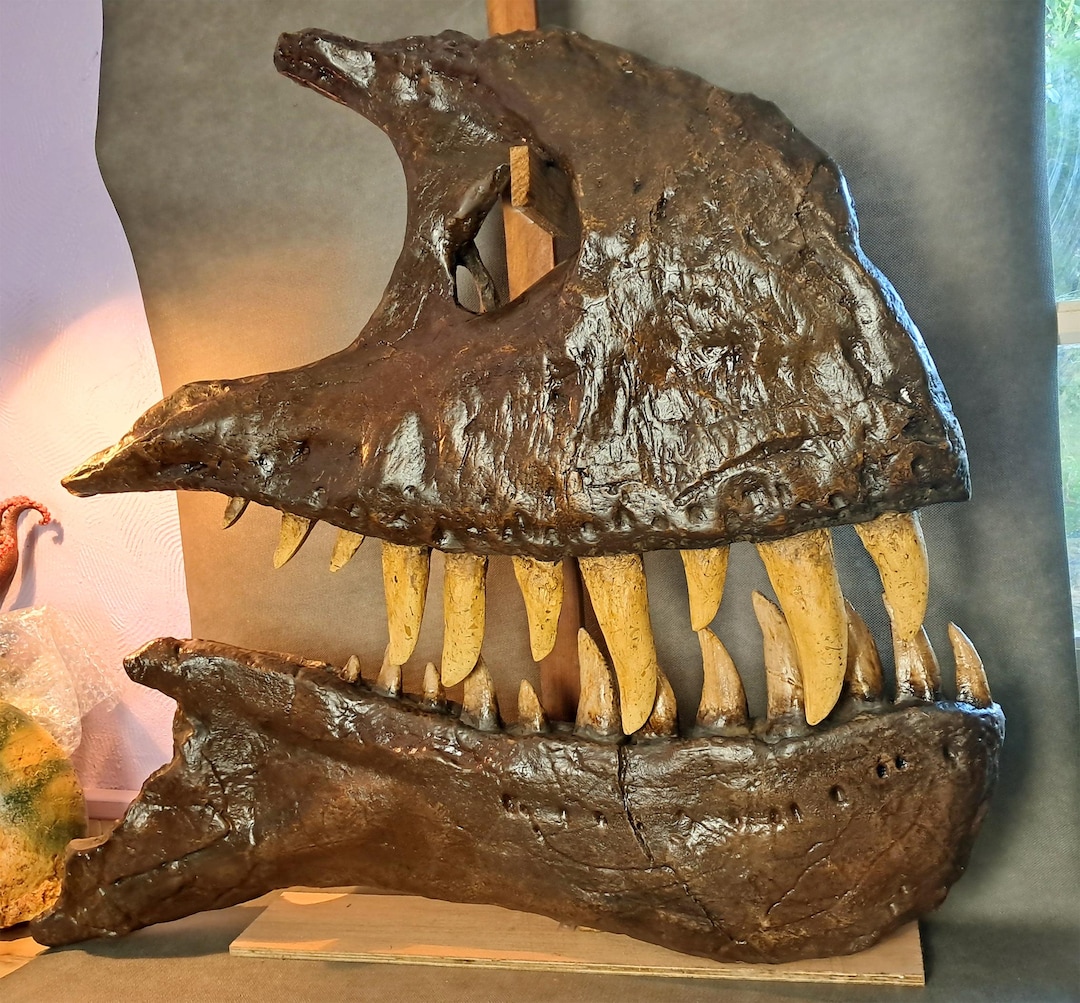 TYRANNOSAURUS REX, Both Lower and Upper Mandibles. Cast of the "harley ...
