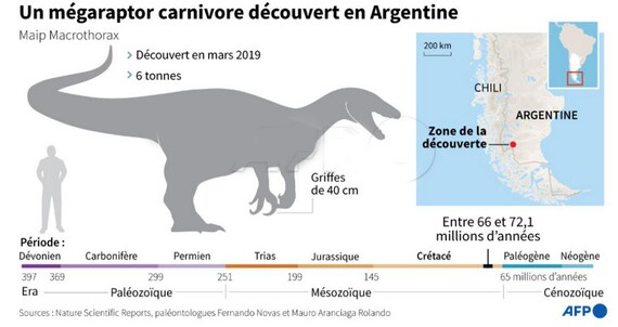Megaraptor Size