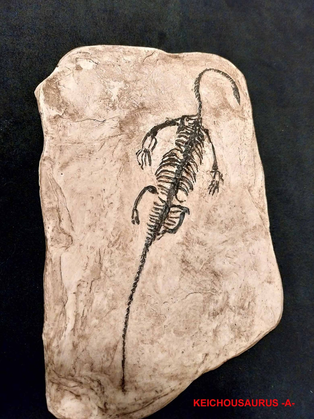 Copy of KEICHOUSAURUS HUI here Copy of 2 Versions to Choose From ...