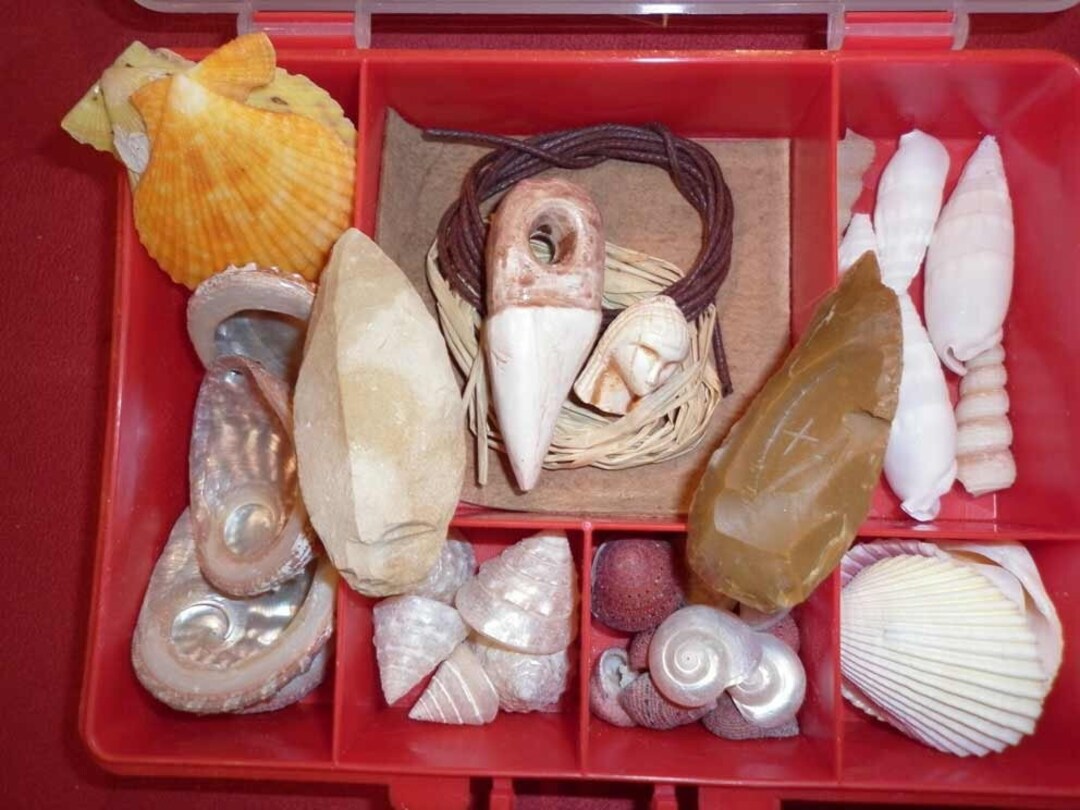 Prehistoric Shell Jewelry Kit -refkkit19- Complete Kit for Making ...