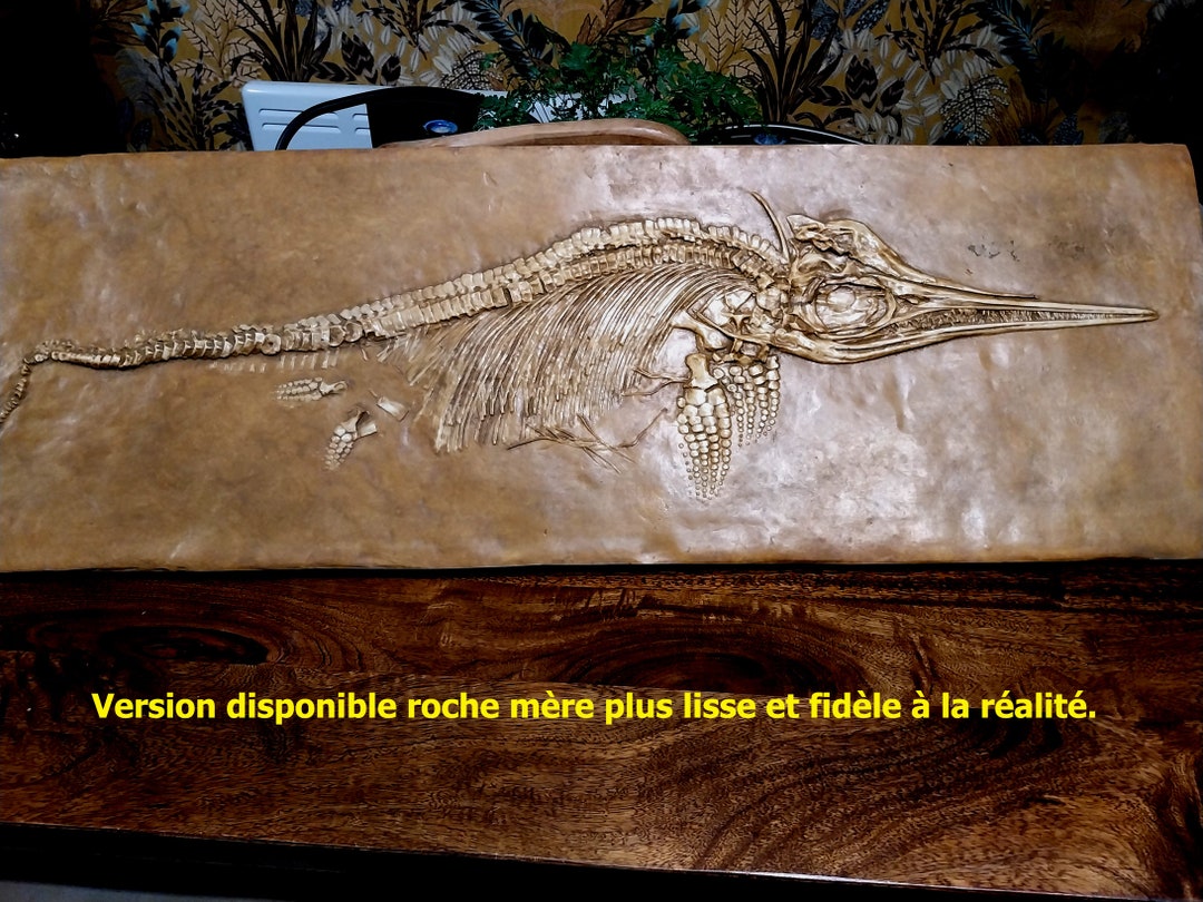 ICHTHYOSAURUS Sp, Juvenile Toarcian Holzmaden, Germany; Replica Cast on ...