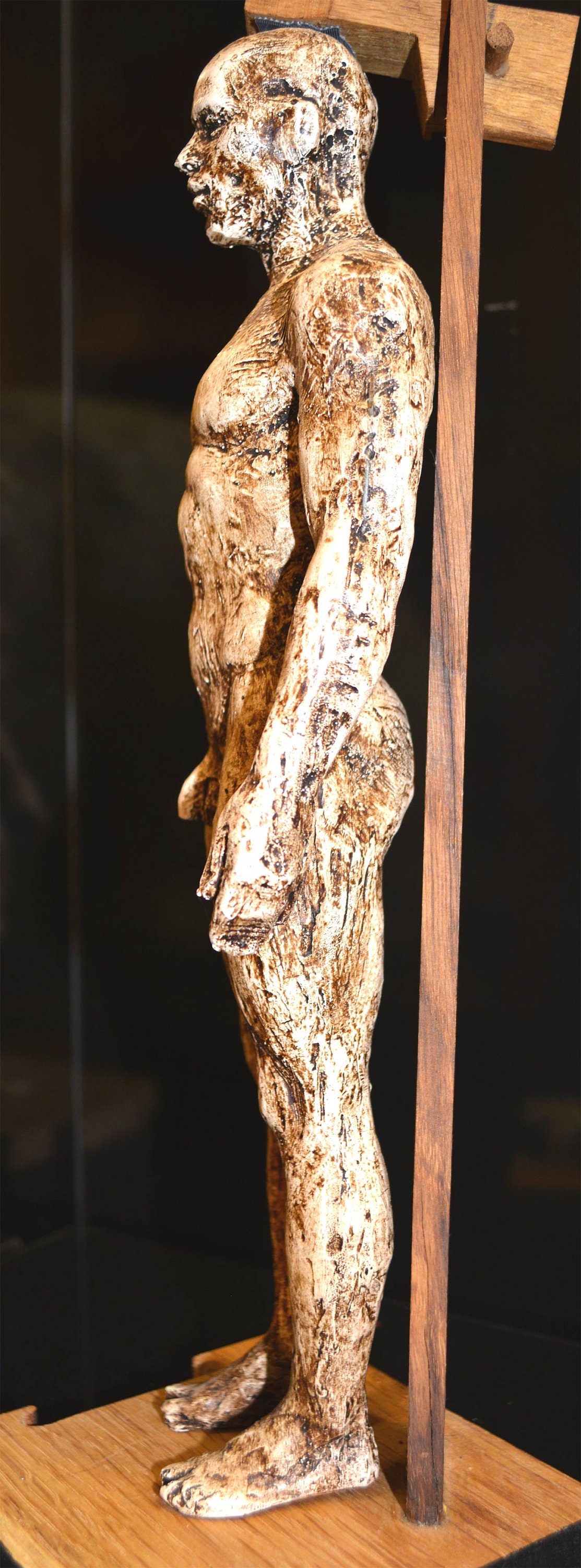 NEANDERTAL-CRO-MAGNON Couple 1/6th Scale Reconstruction - Etsy UK