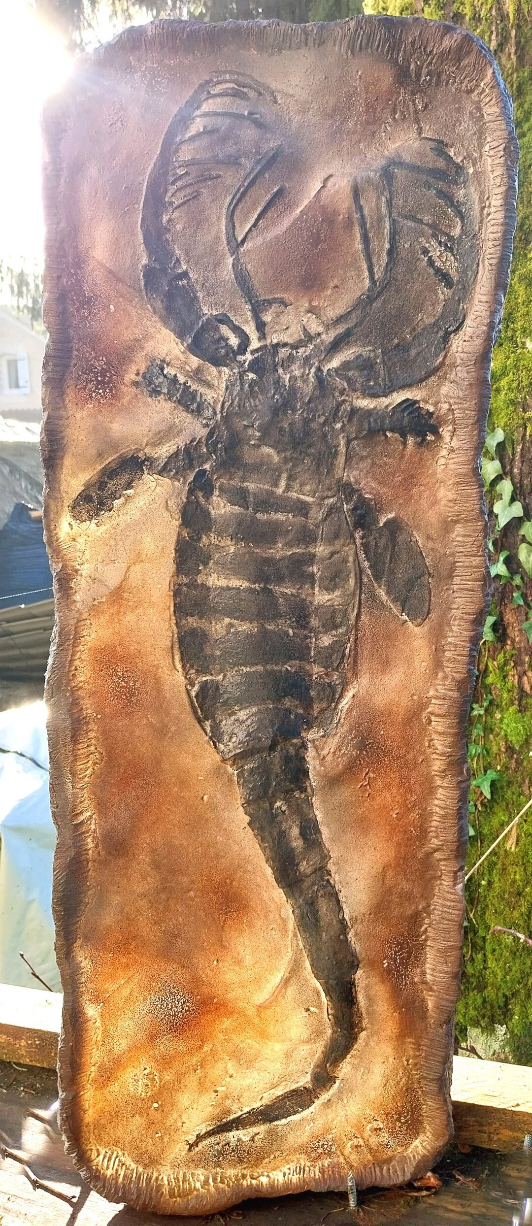 SCORPION of the Seas MIXOPTERUS Kiaeri -PMFP10- Specimen From Norway ...