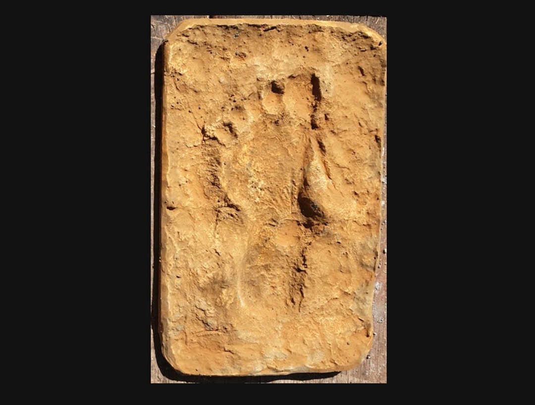 FOSSIL FOOT Print Niaux Cave - Cast of Left Foot Print With Probable ...