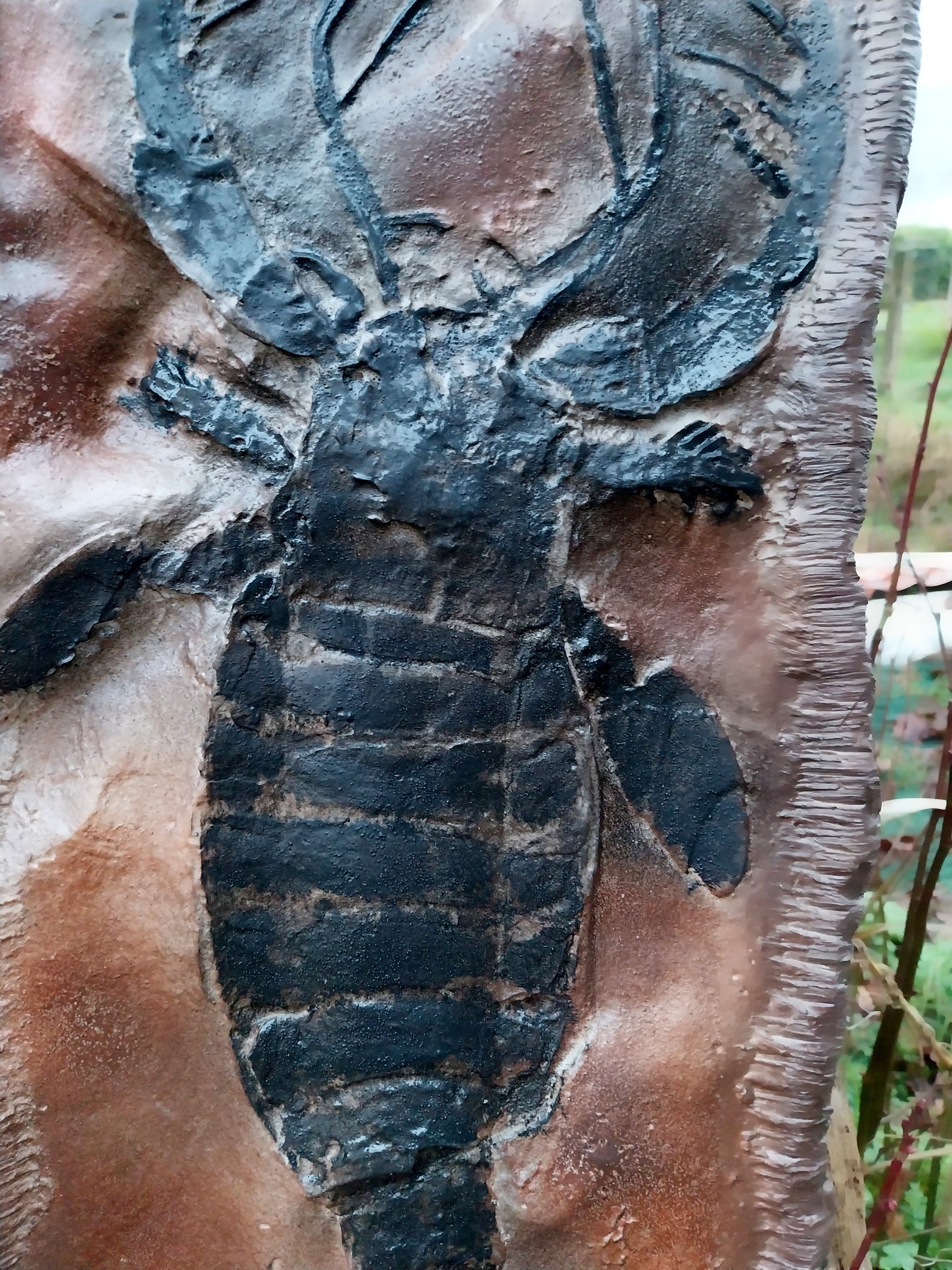 Sea Scorpion Mixopterus Kiaeri -PMFP10- Specimen From Norway. Lower ...
