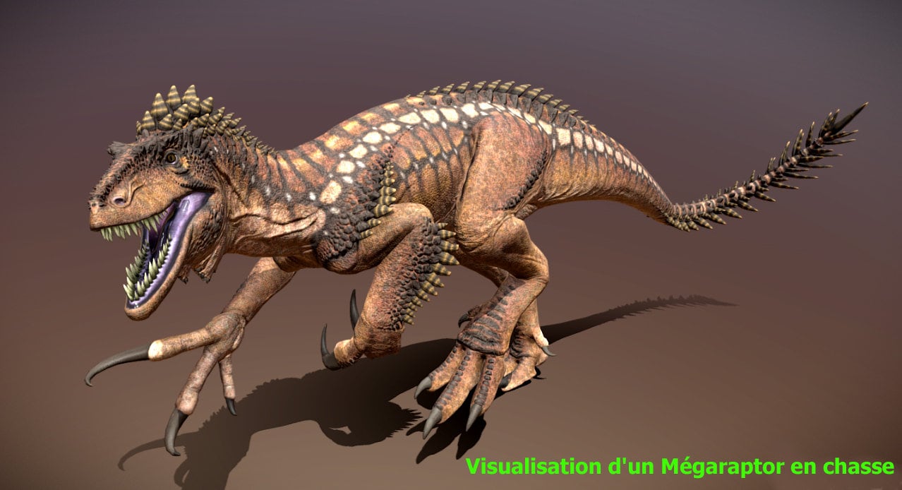 Megaraptor Claw