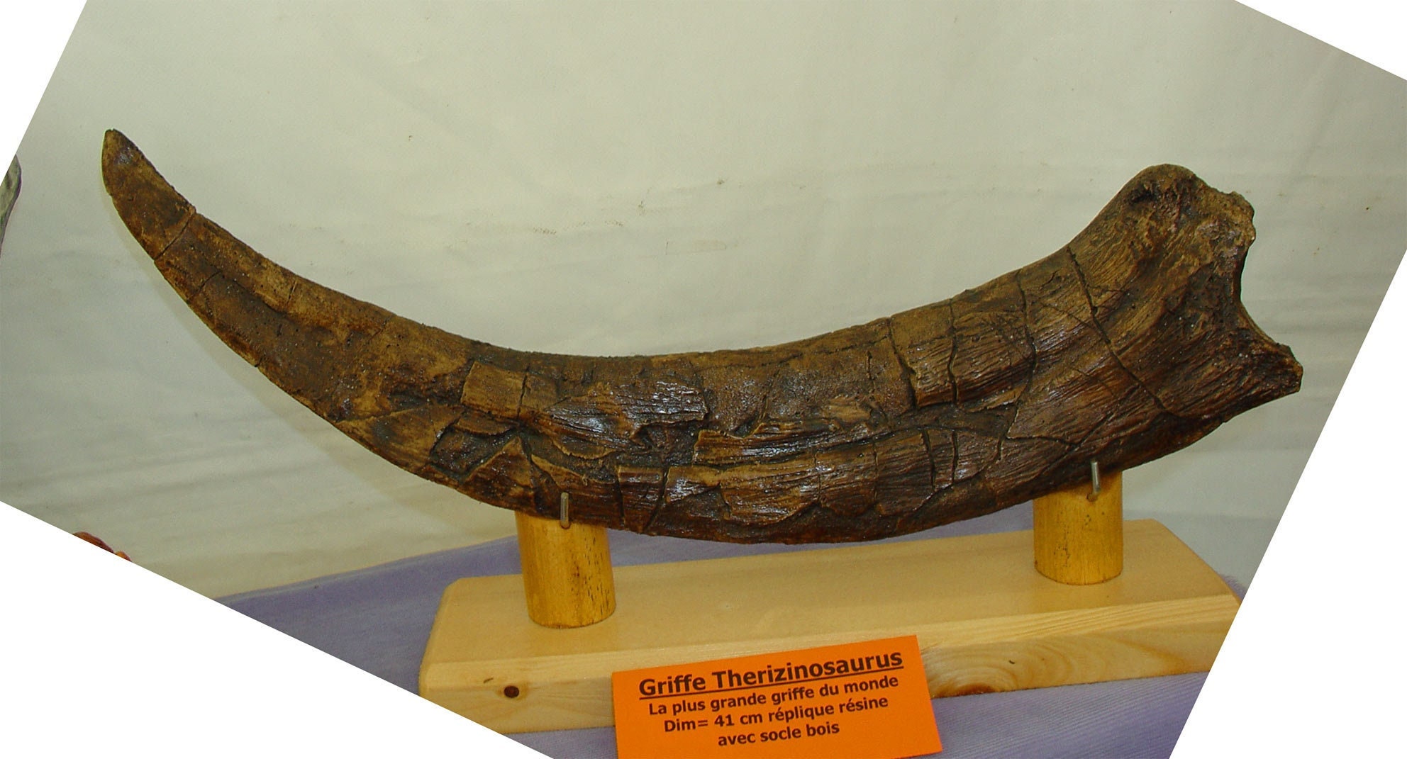 Therizinosaurus Dinosaur Claw Replica Resin Cast - Etsy