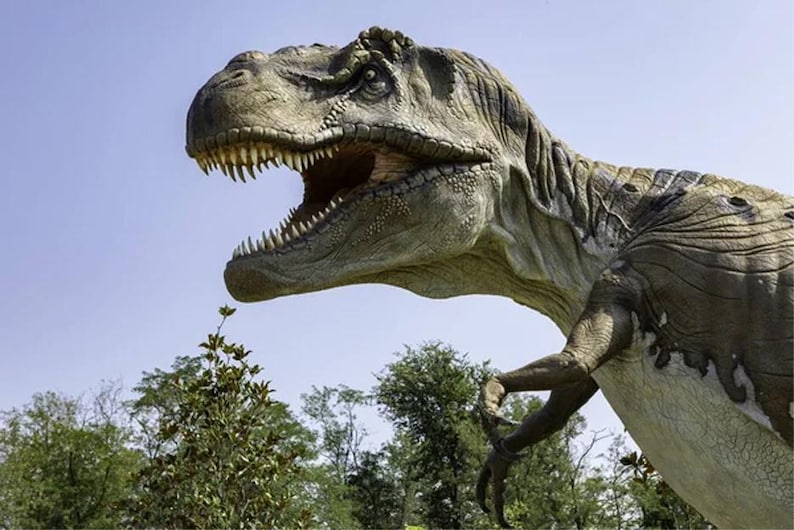 TYRANNOSAURUS REX Lower Mandible Portion Cast of the "harley" Specimen ...