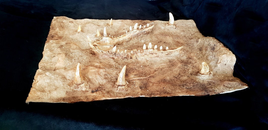 MEGARAPTOR TEETH JAW flat Raised Reproduction of a Paleosol ...