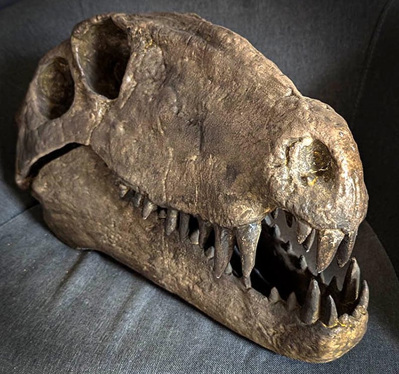 DIMETRODON SKULL Reproduction in Bioplastic Resin, 1/1 Scale ...