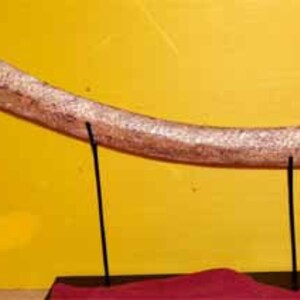 Aboriginal Wooden KILLING-STICK Modern Handcrafted Piece Made by ...