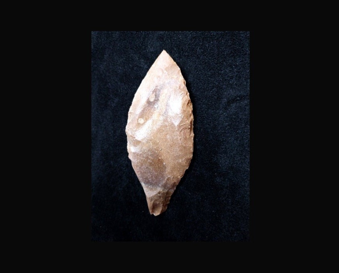 SOLUTRÉENNE Spear Point in SILEX Leaf Type Pedunculated Base Modern ...