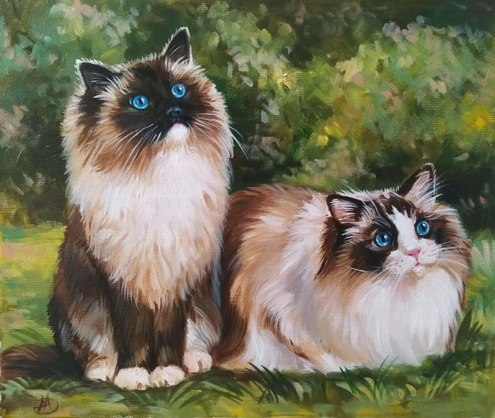 Custom Pet Portraits Paintingcat Portraits Cat Painting Oil | Etsy