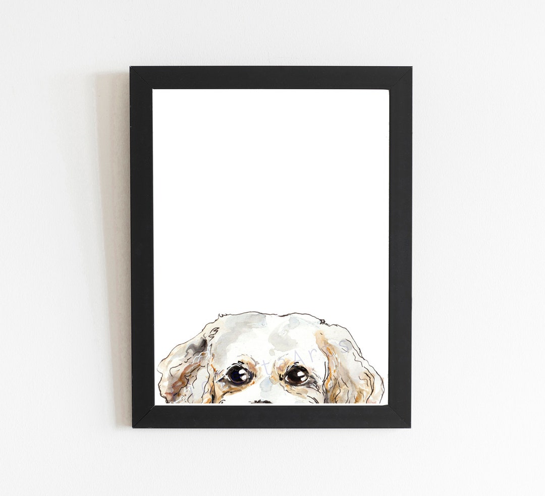 Cavachon Dog Mix Breed Art Print, Mix of Cavalier King Charles and a ...