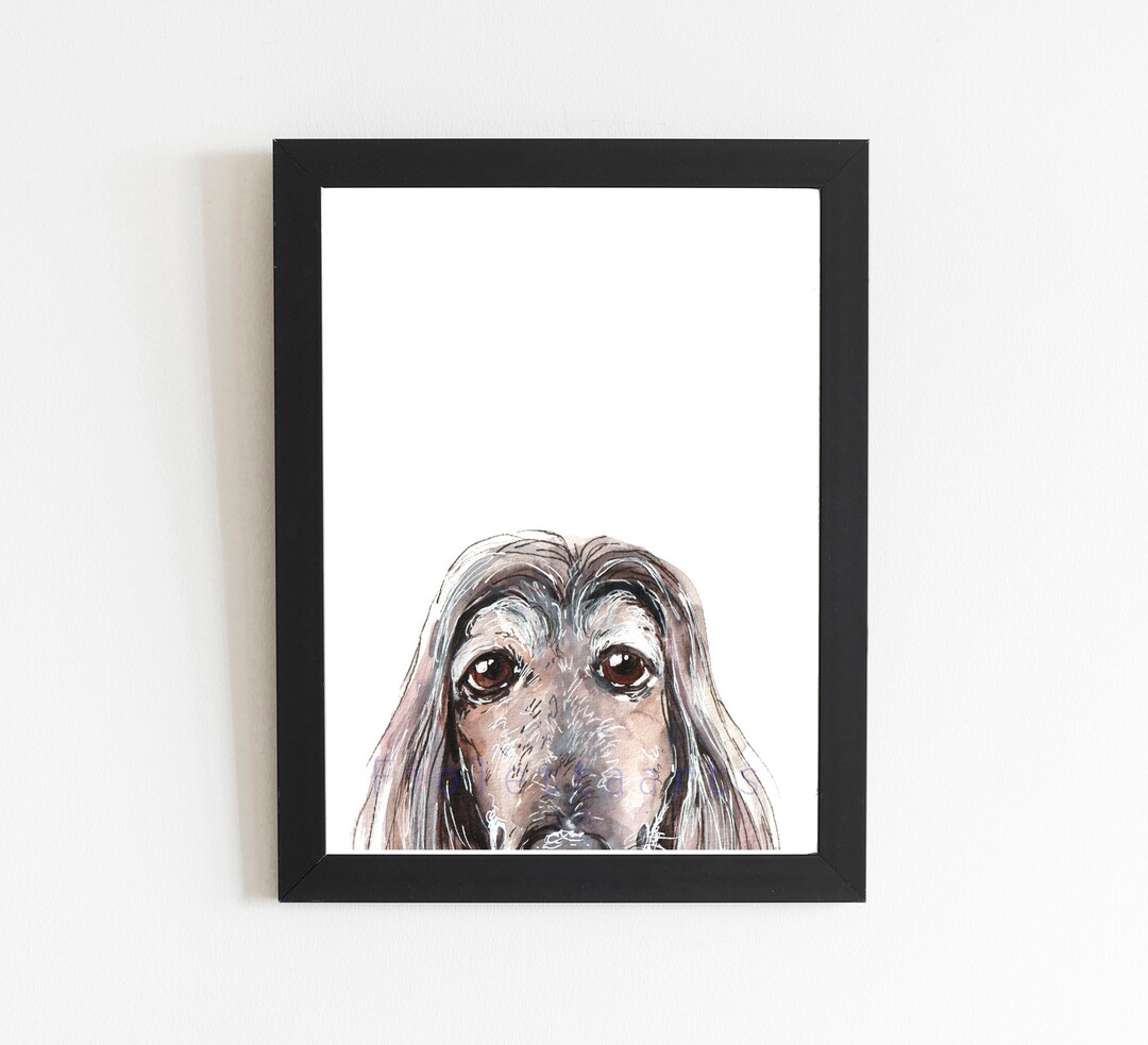 Afghan Hound Dog Print: Watercolor Pet Portrait, Peek-a-boo Wall Art - Etsy