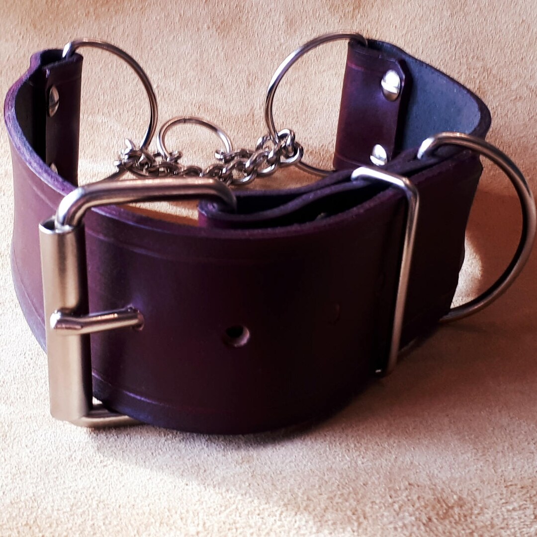 Large Dog Heavy Duty 2 Inch Two Collars Leather Martingale Traditional ...