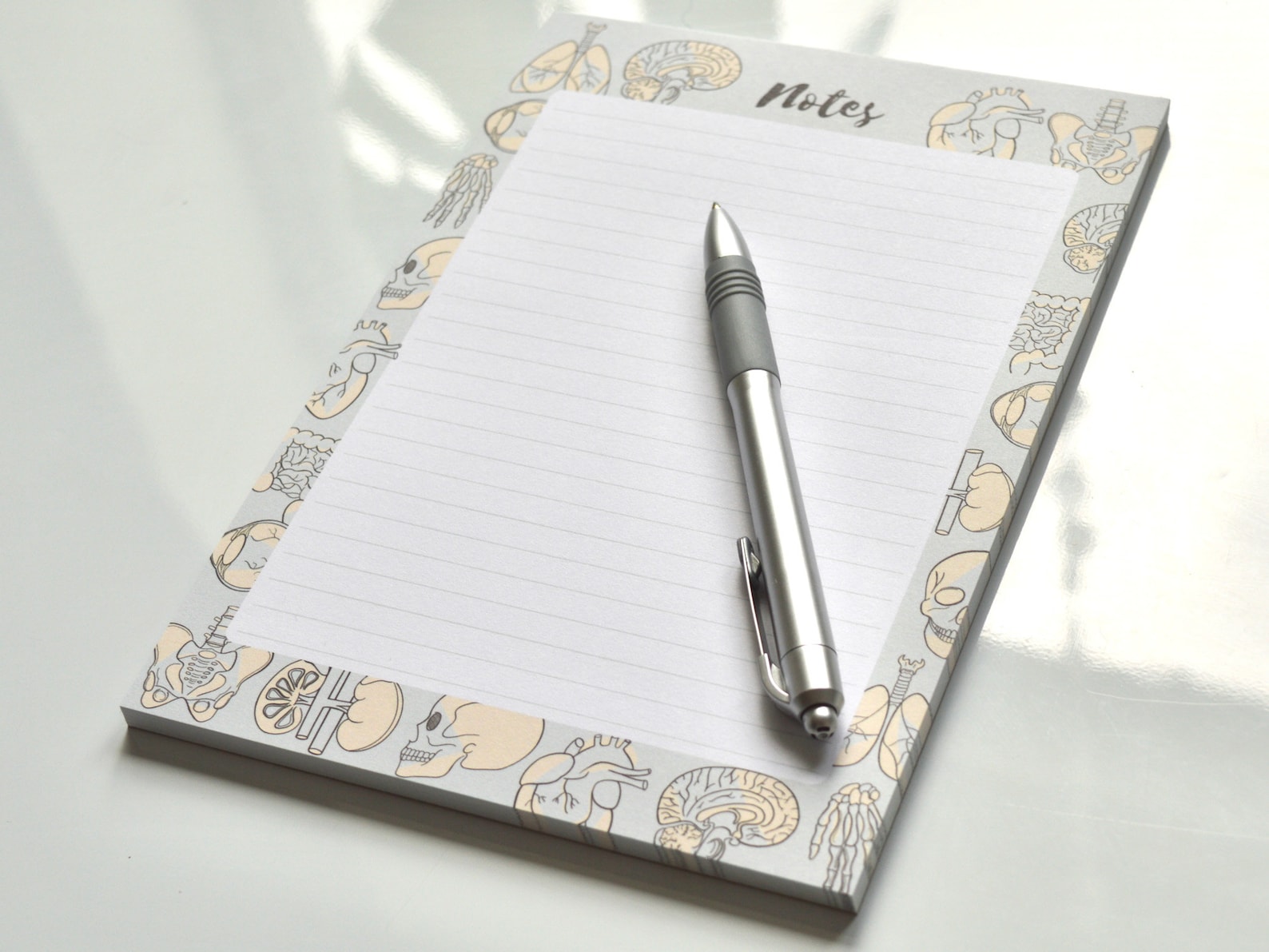 Anatomical Design Notes Pad | A5 Notepad | Medicine - Nursing ...
