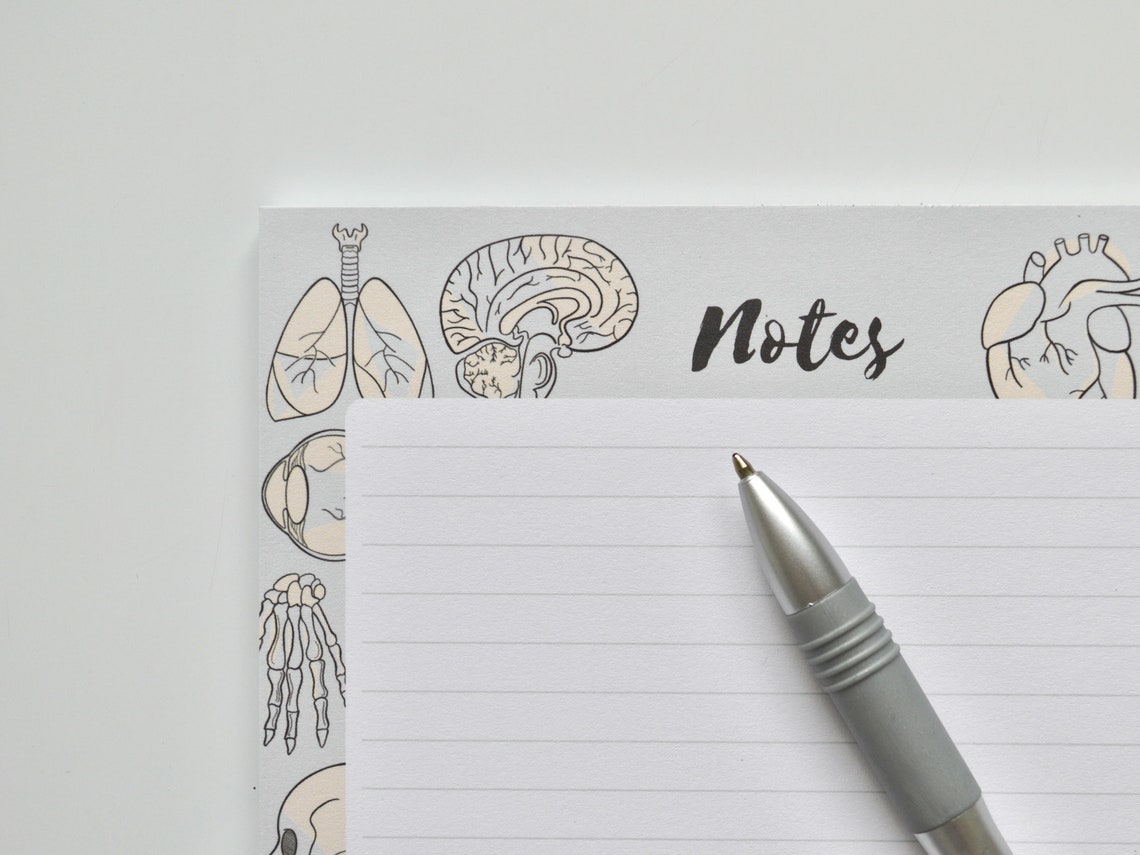 Anatomical Design Notes Pad | A5 Notepad | Medicine - Nursing ...