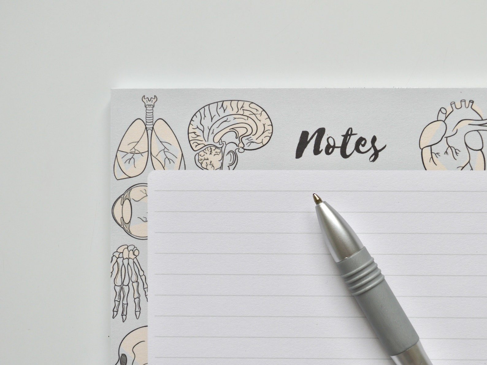 Anatomical Design Notes Pad | A5 Notepad | Medicine - Nursing ...