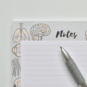 Anatomical Design Notes Pad | A5 Notepad | Medicine - Nursing ...