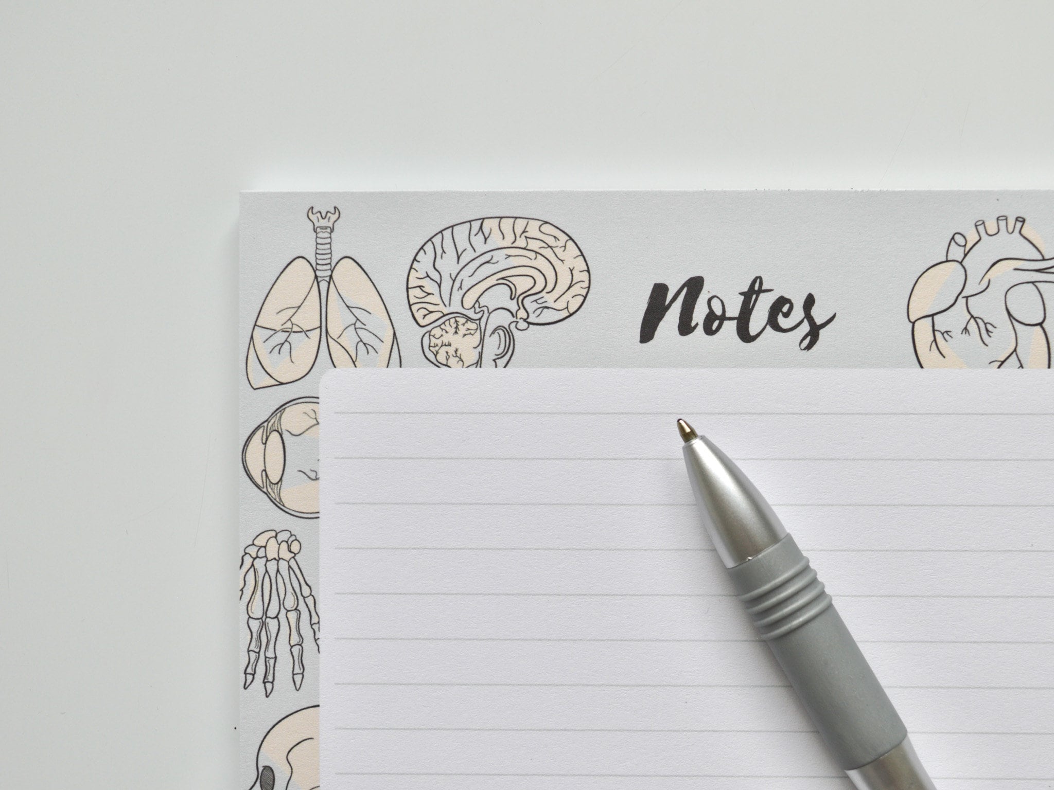 Anatomical Design Notes Pad | A5 Notepad | Medicine - Nursing ...