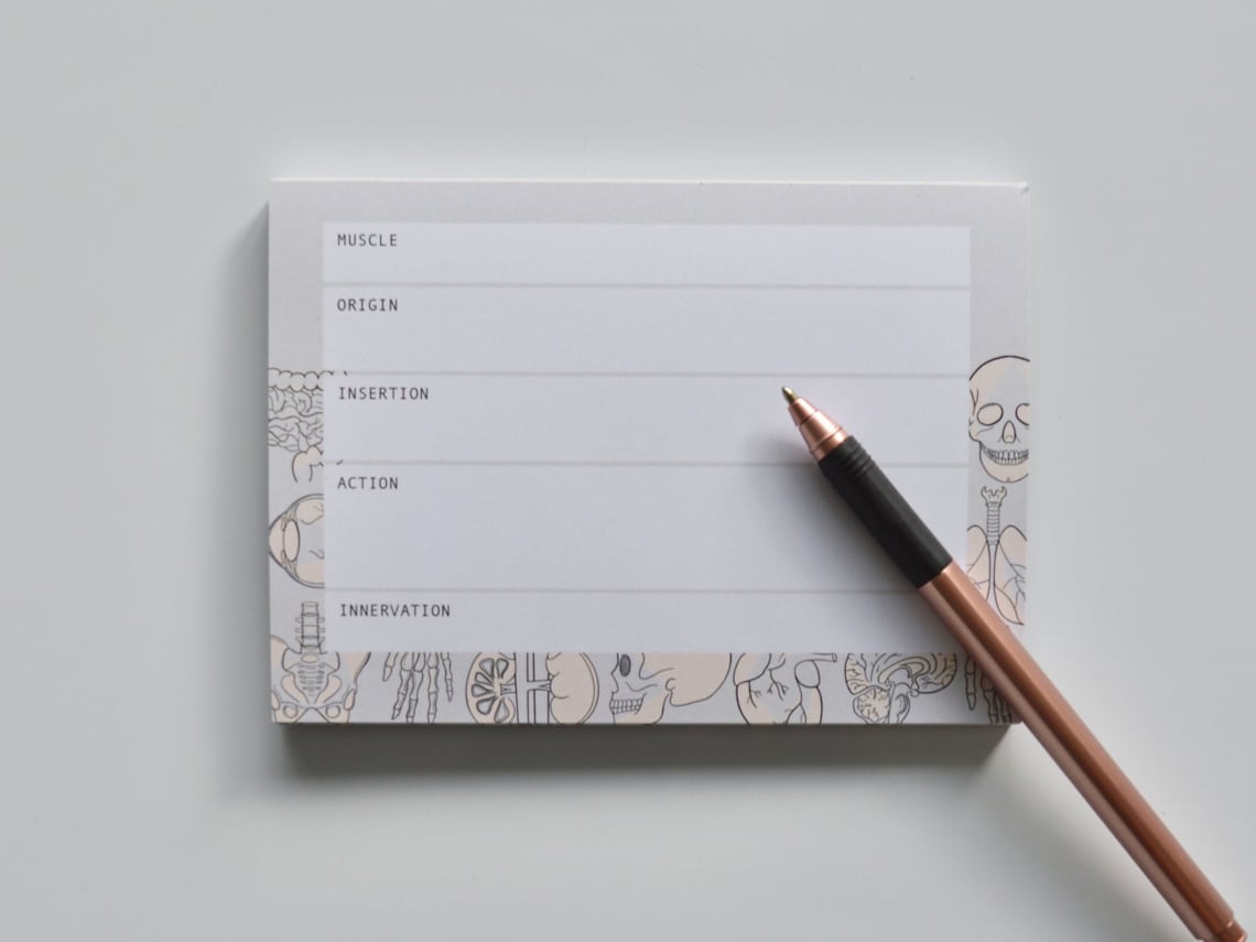 Muscle Anatomy Flashcards Template A6 Notepad Medical | Etsy