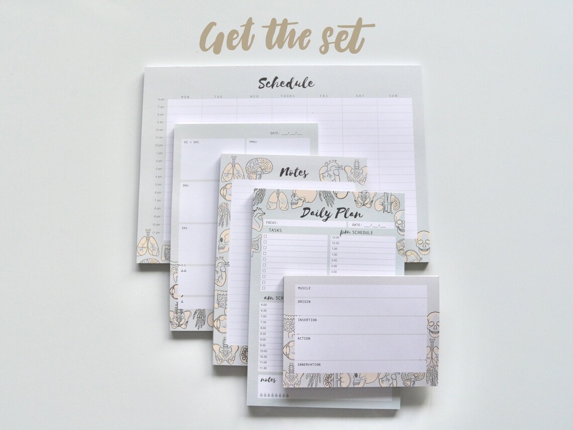 Muscle Anatomy Flashcards Template A6 Notepad Medical | Etsy