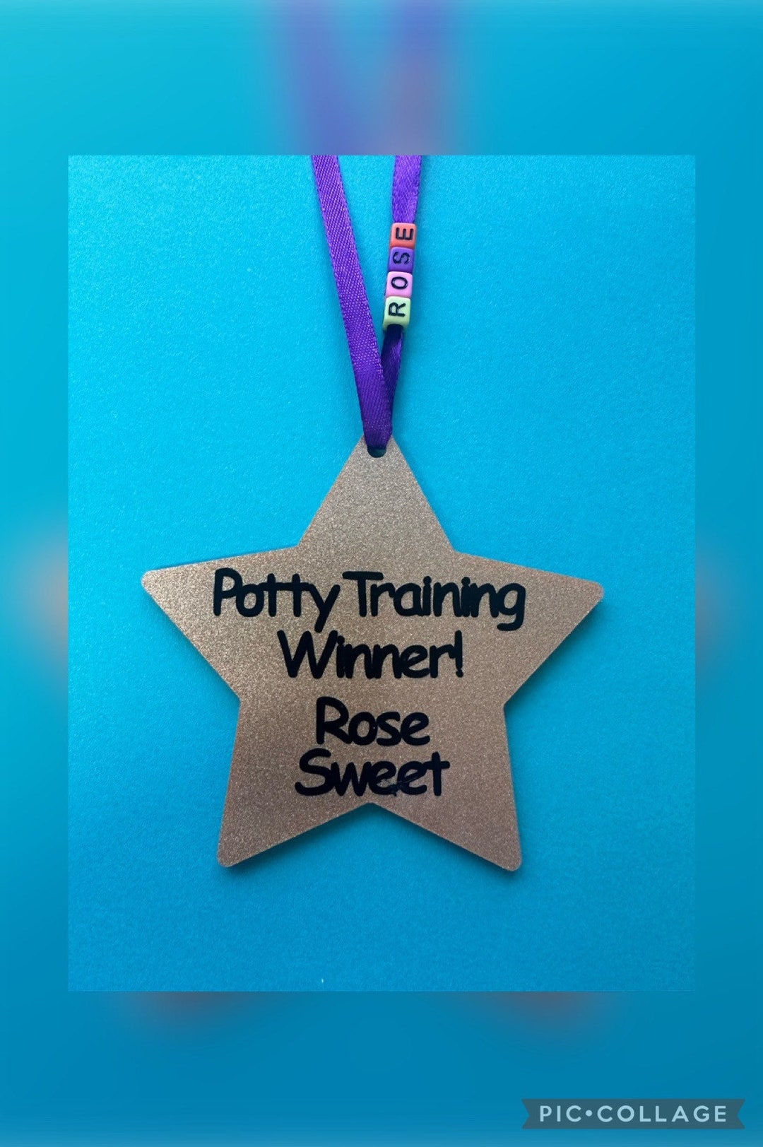 Potty Training Medal - Toilet Training Award - Personalised Potty ...