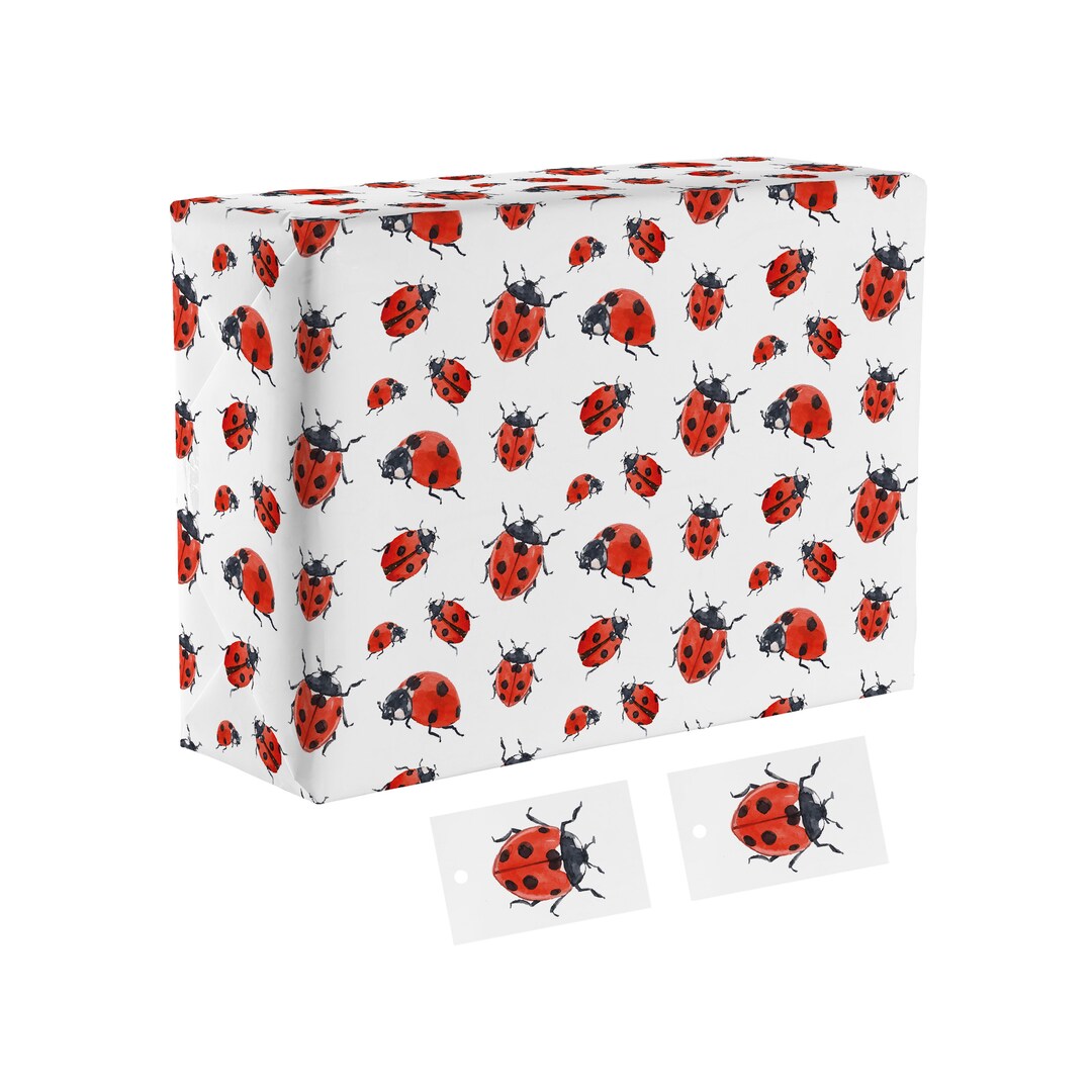 Hunts England - Ladybug Birthday Fun Wrapping Paper and Gift Tags for ...