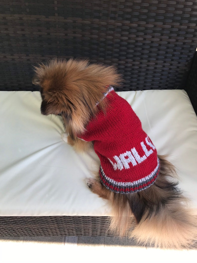 Personalized Dog Sweater Custom Dog Clothes Knitted Dog - Etsy